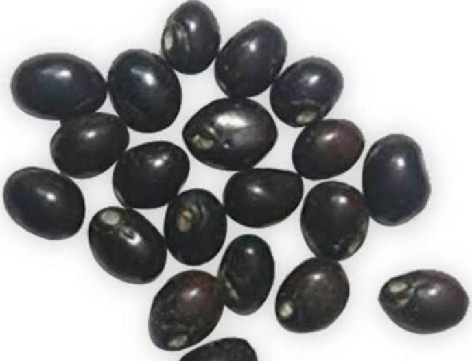 White gunja/chirmi - moglowin